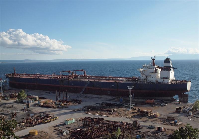 DELPHIN - Vesseljoin