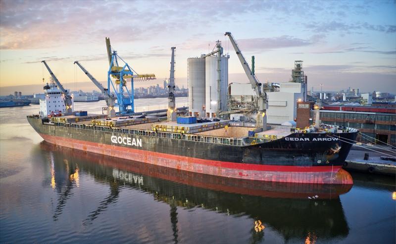 CEDAR ARROW - Vesseljoin