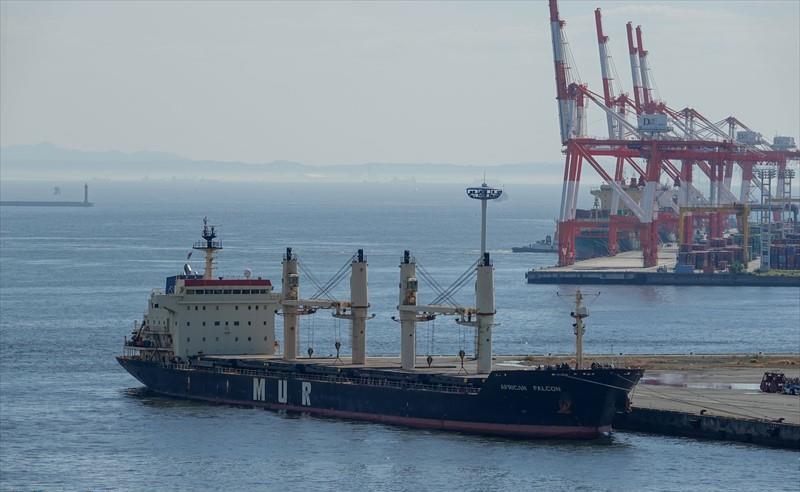 AFRICAN FALCON - Vesseljoin