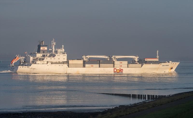 DOLE AFRICA - Vesseljoin