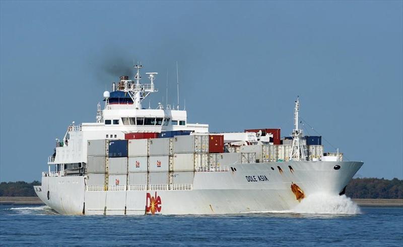 DOLE ASIA - Vesseljoin