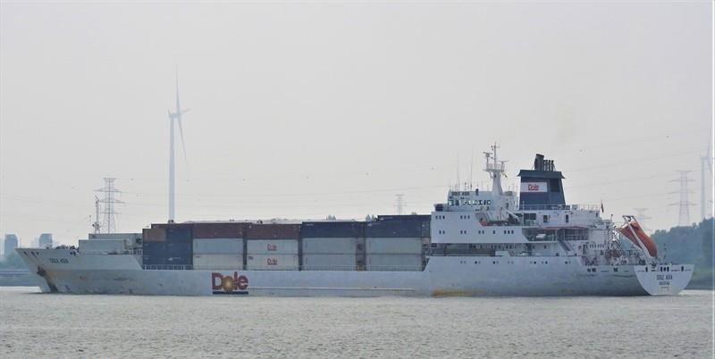 DOLE ASIA - Vesseljoin