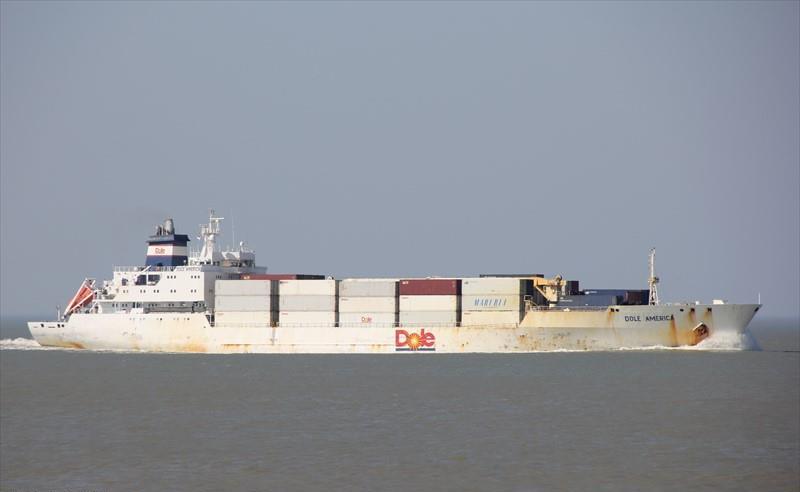 DOLE AMERICA - Vesseljoin