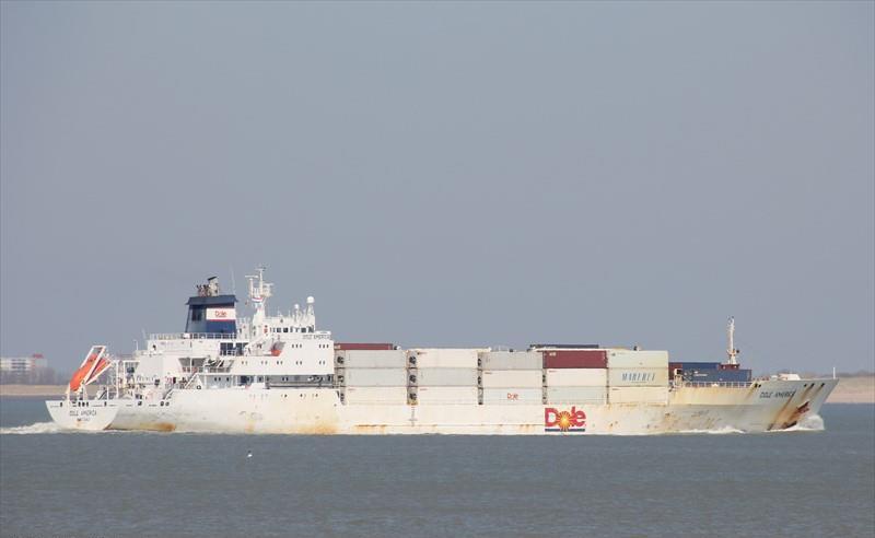 DOLE AMERICA - Vesseljoin