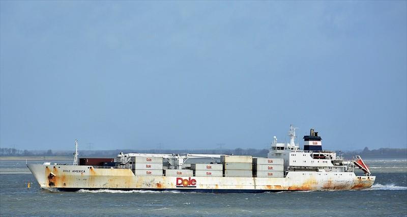 DOLE AMERICA - Vesseljoin