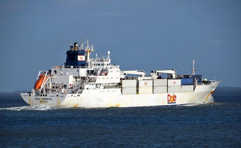 DOLE AMERICA - Vesseljoin