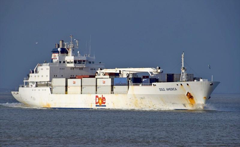 DOLE AMERICA - Vesseljoin