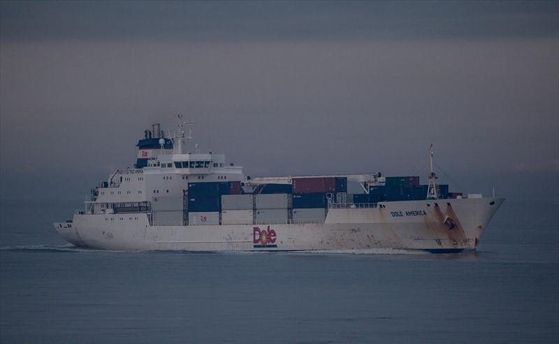 DOLE AMERICA - Vesseljoin