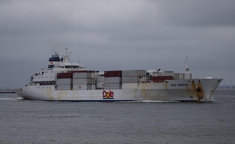 DOLE AMERICA - Vesseljoin