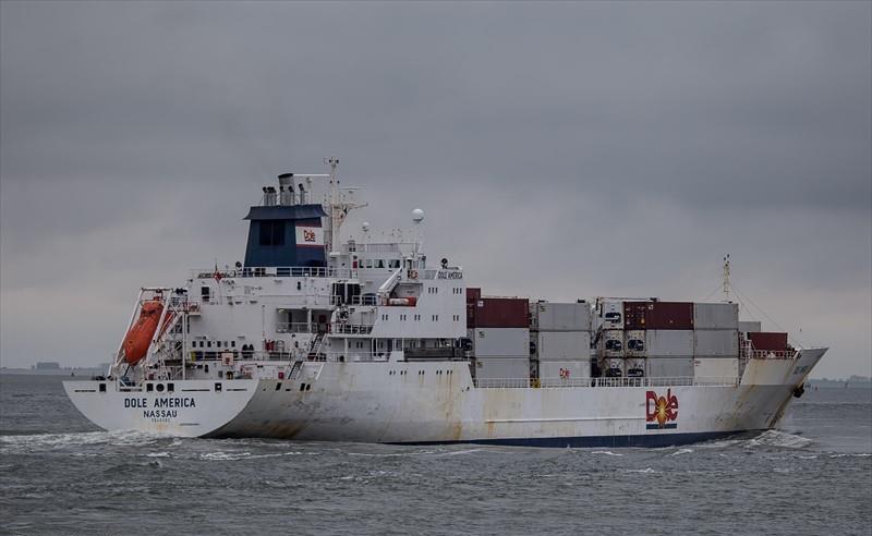 DOLE AMERICA - Vesseljoin