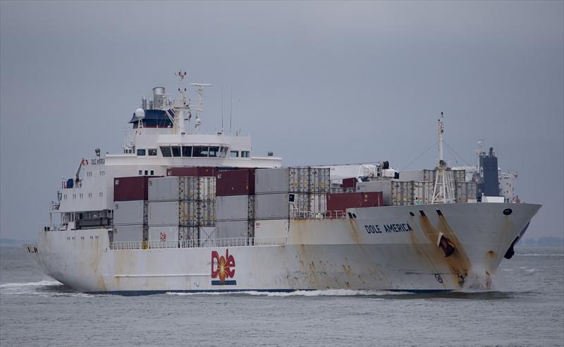 DOLE AMERICA - Vesseljoin