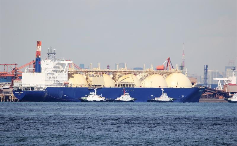 PACIFIC NOTUS - Vesseljoin