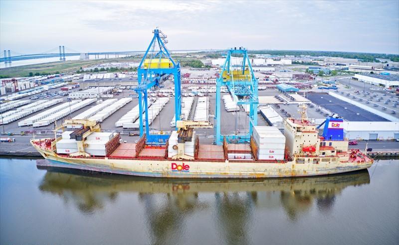 DOLE HONDURAS - Vesseljoin