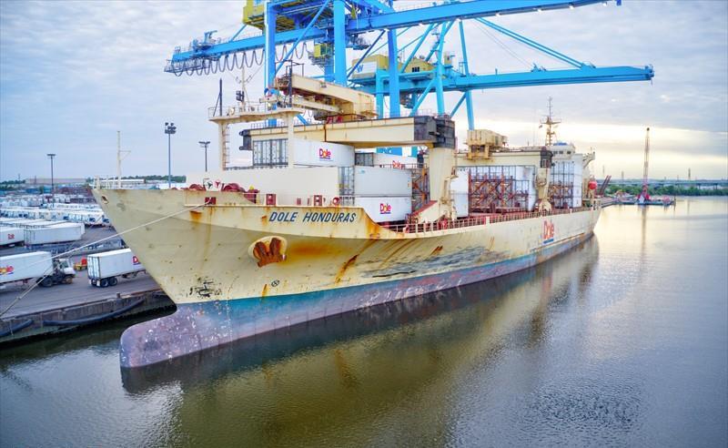 DOLE HONDURAS - Vesseljoin