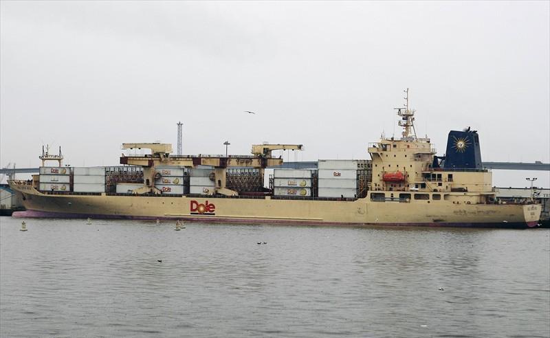 DOLE COSTA RICA - Vesseljoin