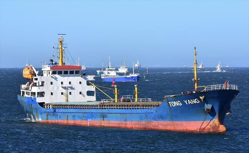 TONG YANG - Vesseljoin