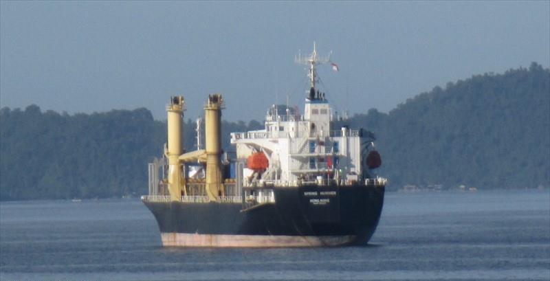 SPRING HUMMER - Vesseljoin