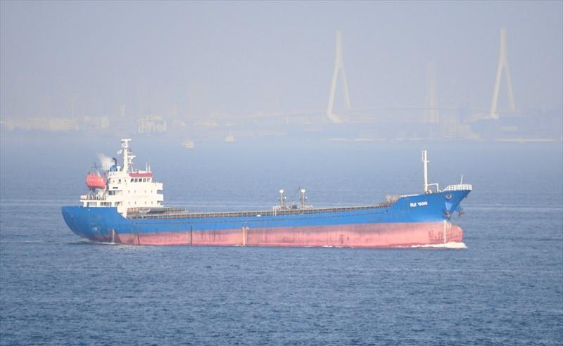 RUI YANG - Vesseljoin