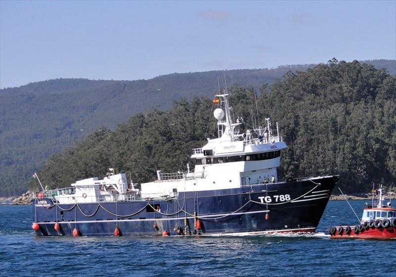 MATILDA - Vesseljoin