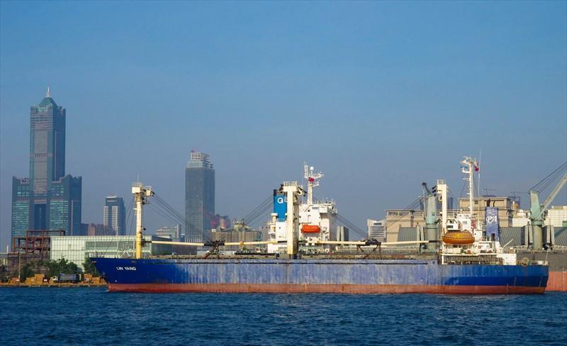 LIN YANG - Vesseljoin