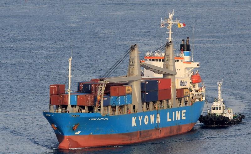 SUNNY MARK - Vesseljoin