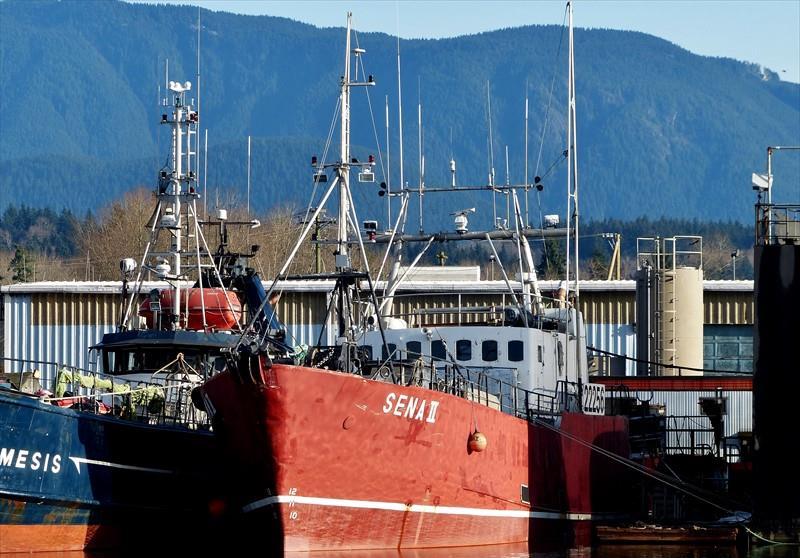 SENA II - Vesseljoin