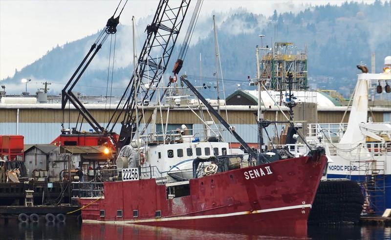 SENA II - Vesseljoin