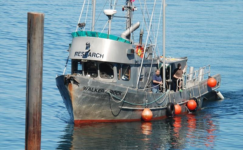 WALKER ROCK - Vesseljoin