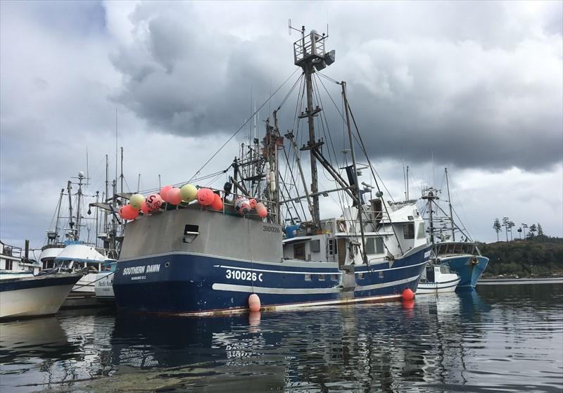 SOUTHERN DAWN - Vesseljoin