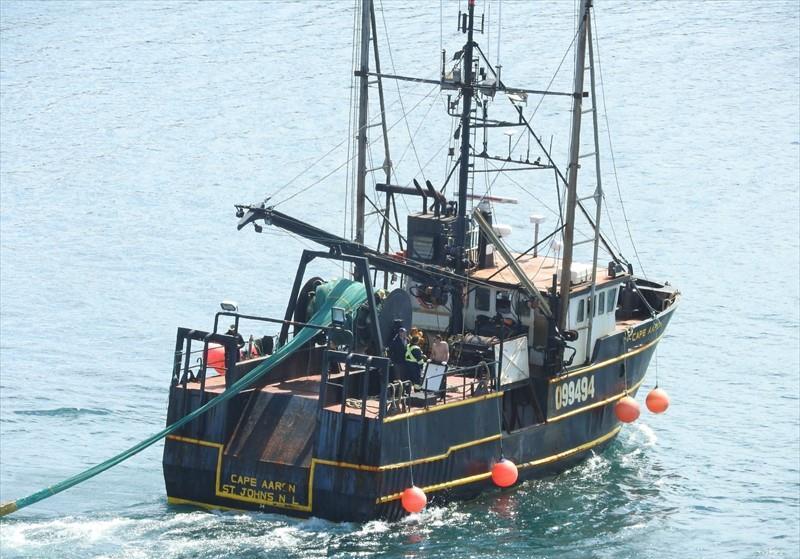 CAPE AARON - Vesseljoin