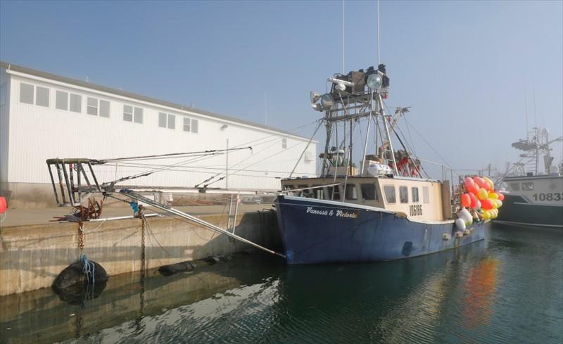 VANESSA VICTORIA - Vesseljoin