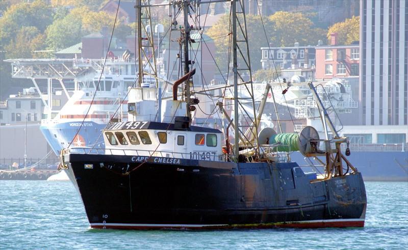 CAPE CHELSEA - Vesseljoin