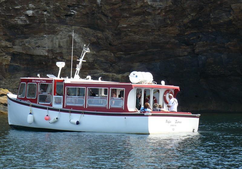 PUFFIN EXPRESS - Vesseljoin