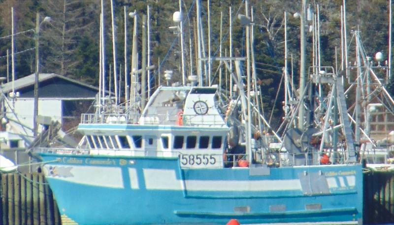 CATALINA COMMANDER - Vesseljoin