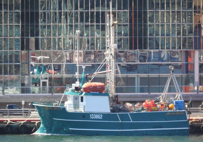 ATLANTIC FALCON - Vesseljoin