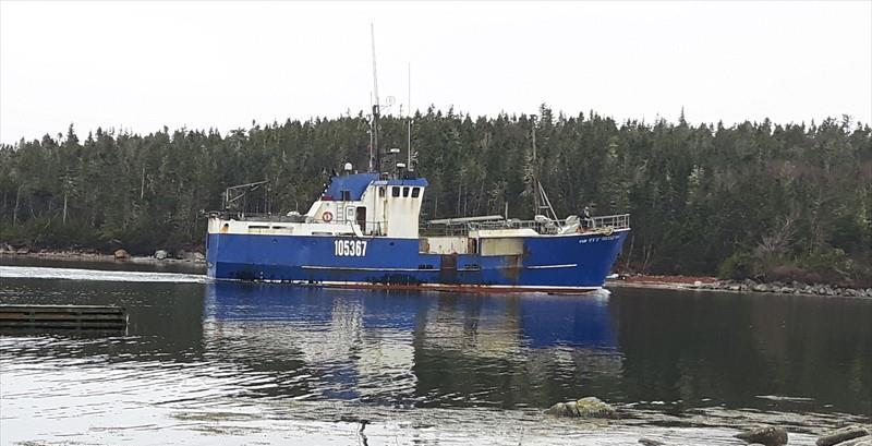 IVY ROSE - Vesseljoin