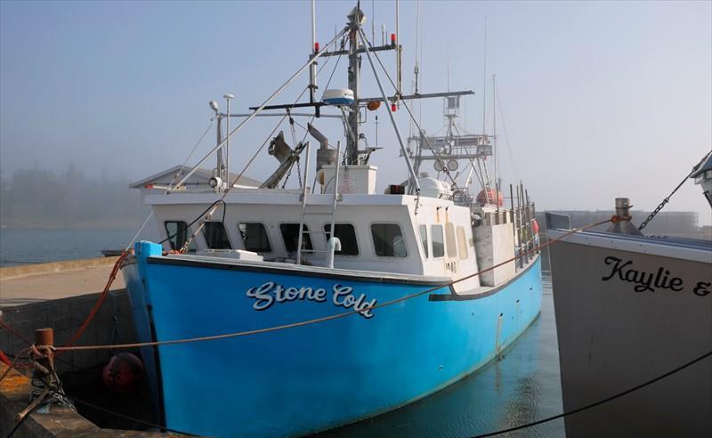 STONE COLD - Vesseljoin