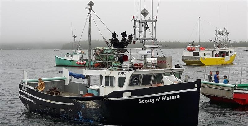 SCOTTY N SISTERS - Vesseljoin