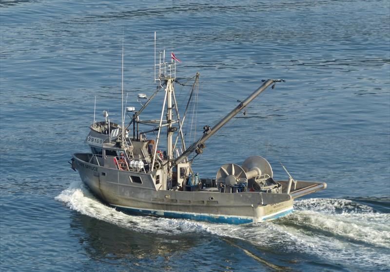 CAPE SPRUCE - Vesseljoin