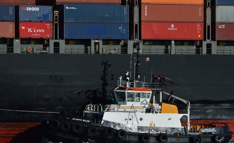 ATLANTIC WILLOW - Vesseljoin