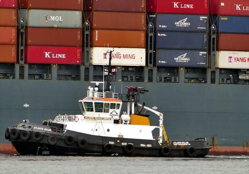 ATLANTIC WILLOW - Vesseljoin