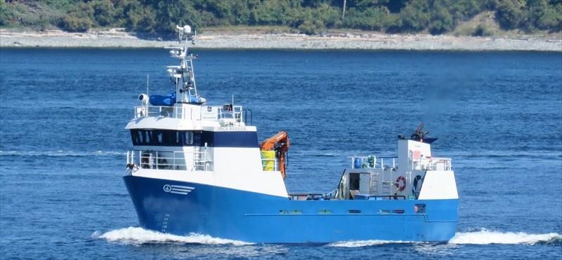 ORCA WARRIOR - Vesseljoin