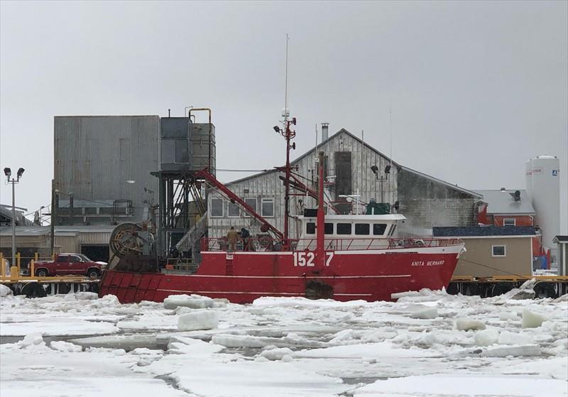 ANITA BERNARD - Vesseljoin