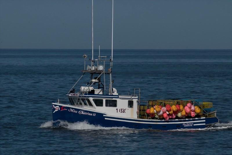 MISS CHATRINA II - Vesseljoin