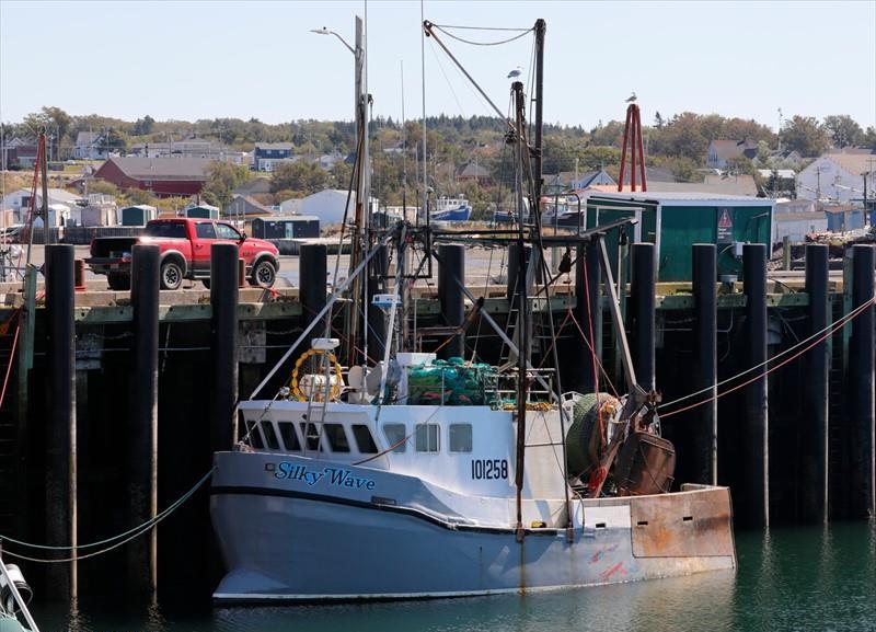 SILKY WAVE - Vesseljoin