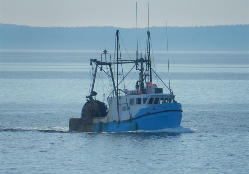 SILKY WAVE - Vesseljoin