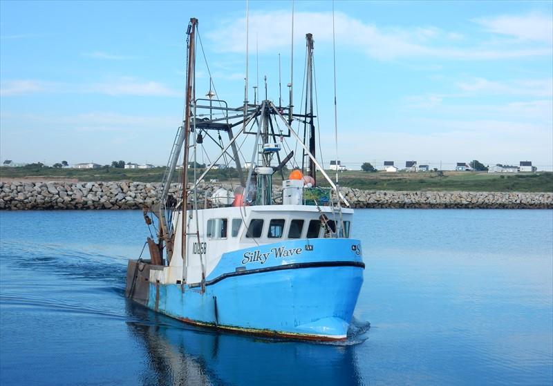 SILKY WAVE - Vesseljoin