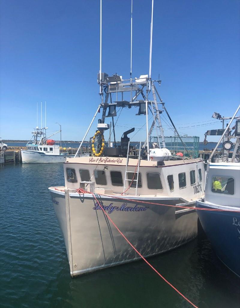 LADY MARLENE - Vesseljoin