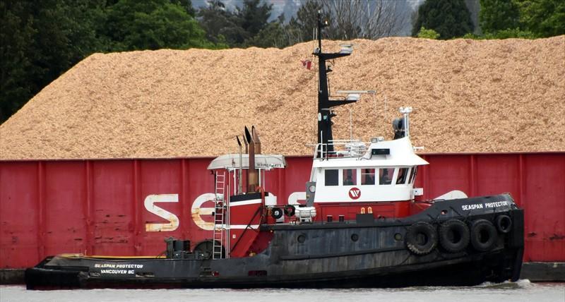 SEASPAN PROTECTOR - Vesseljoin