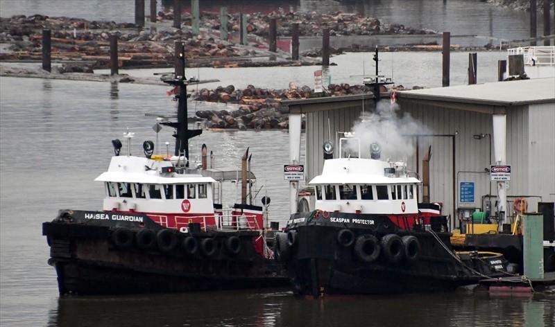 SEASPAN PROTECTOR - Vesseljoin